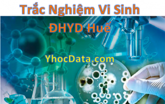 Trắc Nghiệm Vi Sinh - ĐHYD Huế PDF – YHocData