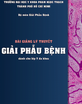 Bài Gi?ng Lý Thuy?t Gi?i Ph?u B?nh 2020 – ?HYK PNT – YHocData